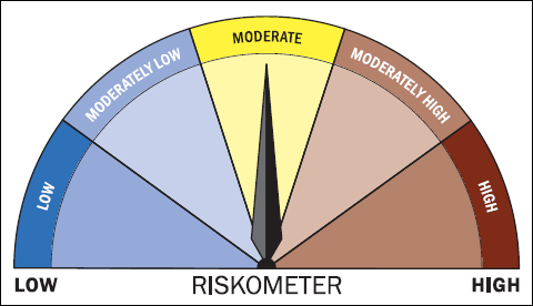 Finance Blog - Mint2Save | What is Mutual Fund Riskometer? - Finance ...