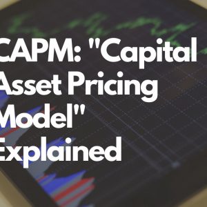 Finance Blog - Mint2Save | CAPM: "Capital Asset Pricing Model ...